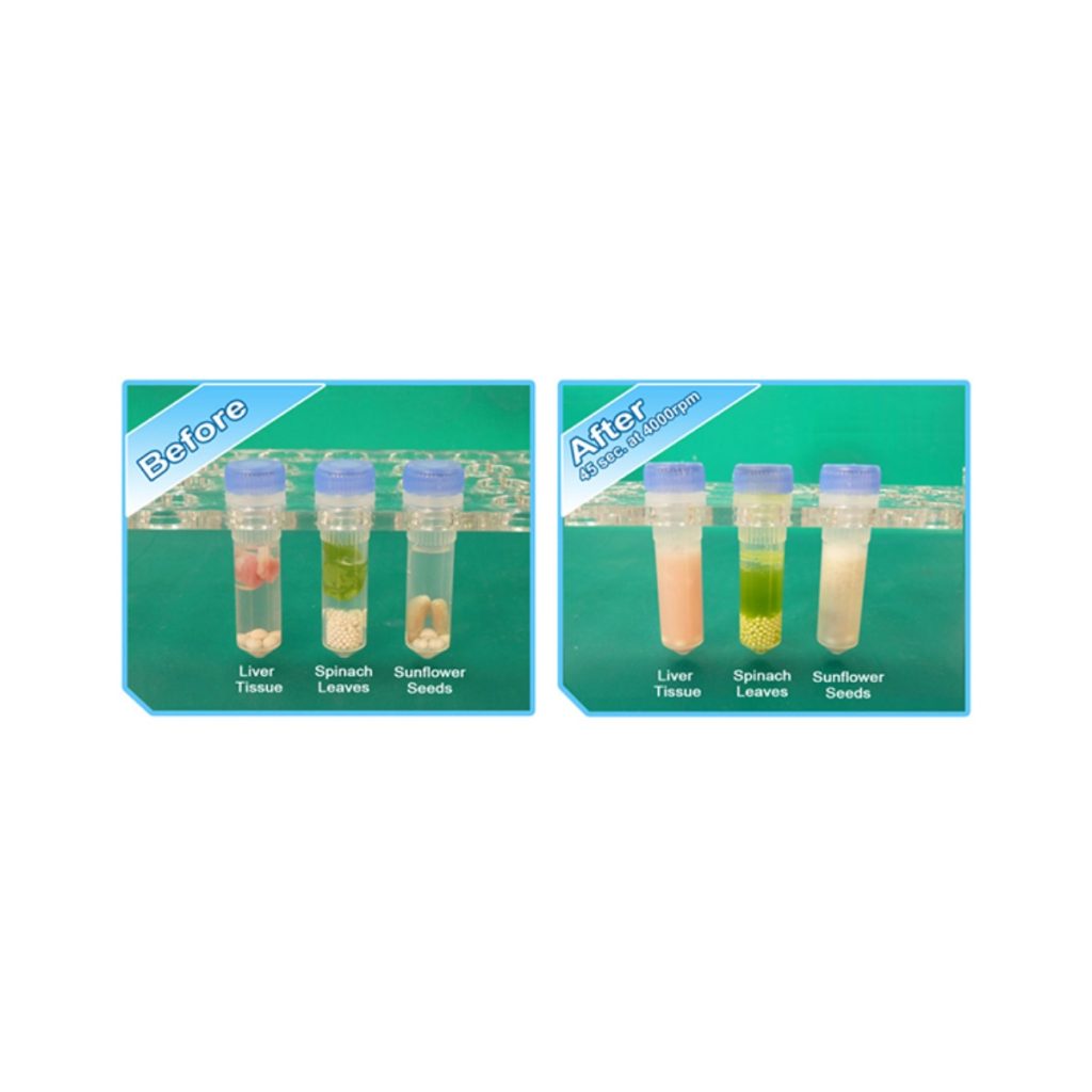 BEADBUG 6, SIX POSITION HOMOGENIZER, 115V - Hindustan Medical Technology